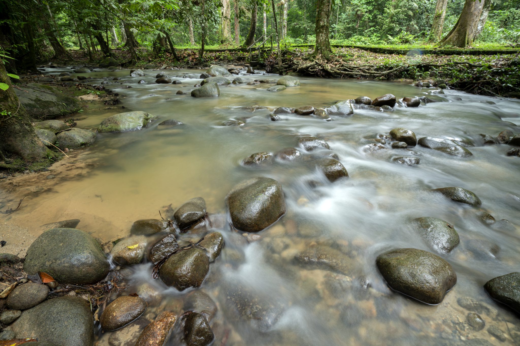 Ticket Price Adjustment for Kanching and Chongkak Eco Forest Parks ...